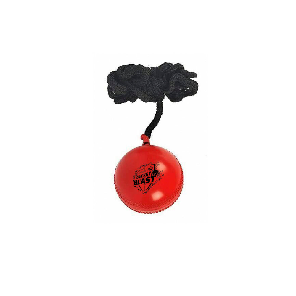 Cricket Trainer Ball on String – Batting Practice Tool for Precision ...